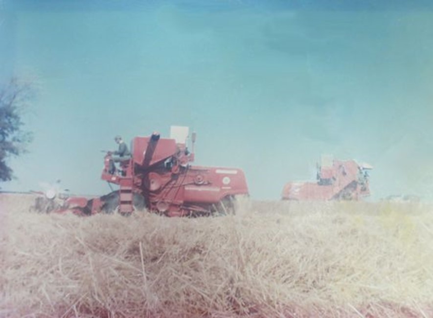 Bushey Farms - About Bushey Farms